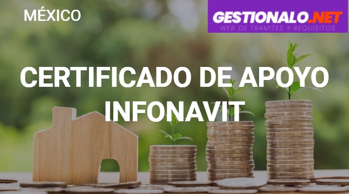 Guía Para Obtener El Certificado De Apoyo Infonavit – PCWH